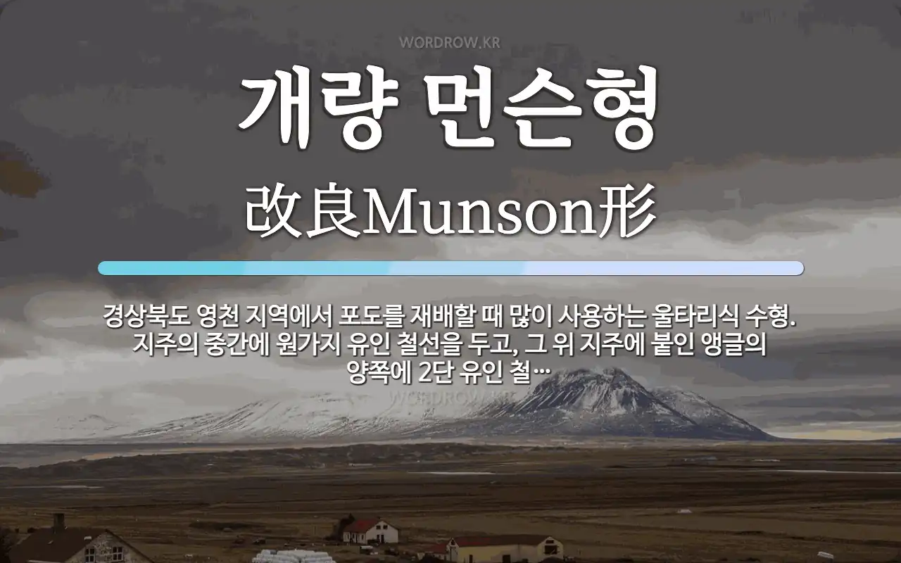 개량 먼슨형 뜻: 경상북도 영천 지역에서 포도를 재배할 때 많이 사용하는 울타리식 수형. 지주의 중간에 원가