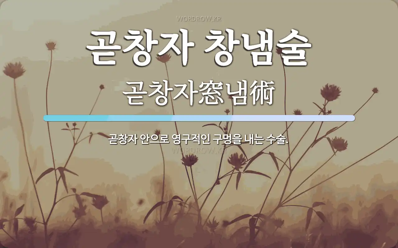 곧창자 창냄술 뜻: 곧창자 안으로 영구적인 구멍을 내는 수술.