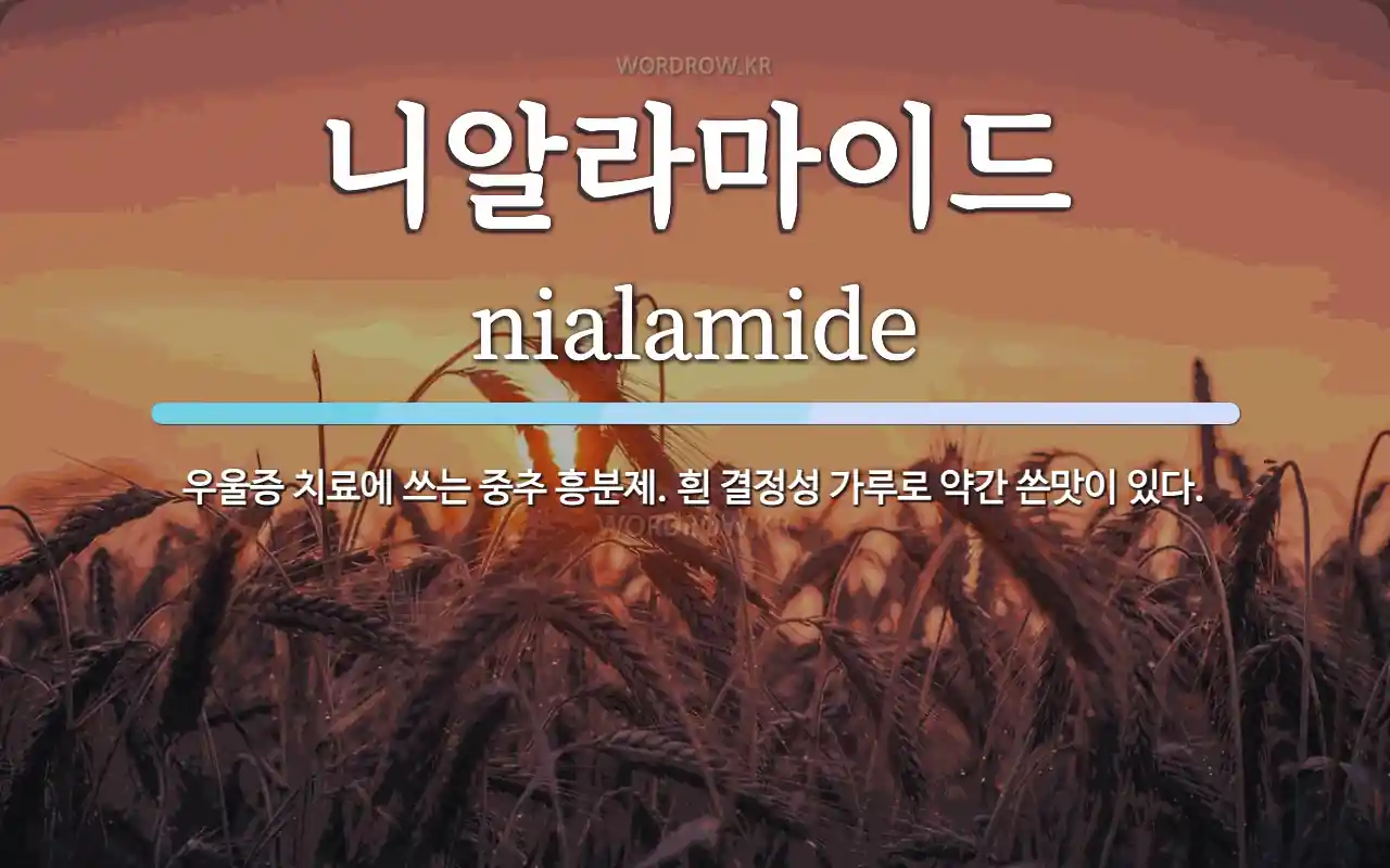 니알라마이드 뜻: 우울증 치료에 쓰는 중추 흥분제. 흰 결정성 가루로 약간 쓴맛이 있다.