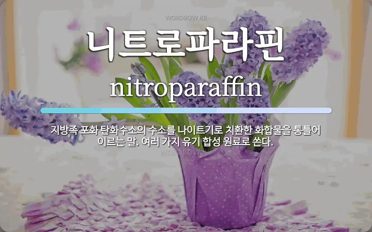 니트로파라핀 뜻: 지방족 포화 탄화수소의 수소를 나이트기로 치환한 화합물을 통틀어 이르는 말. 여러 가지 유