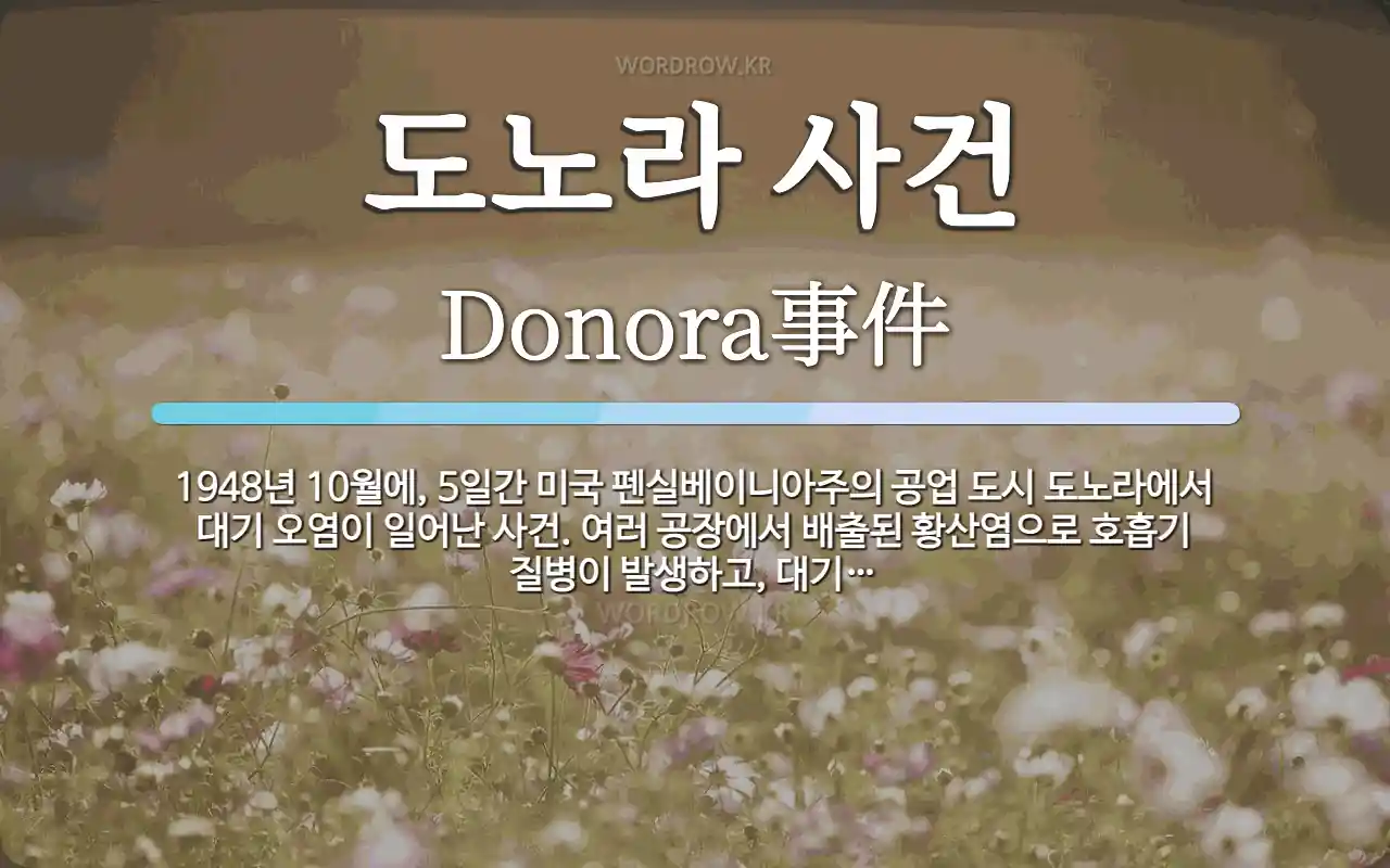 도노라 사건 뜻: 1948년 10월에, 5일간 미국 펜실베이니아주의 공업 도시 도노라에서 대기 오염이 일어난