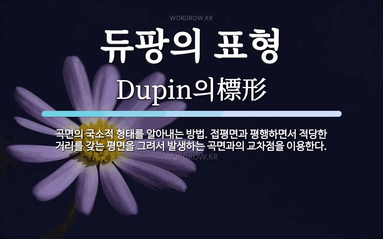 듀팡의 표형 뜻: 곡면의 국소적 형태를 알아내는 방법. 접평면과 평행하면서 적당한 거리를 갖는 평면을 그려서