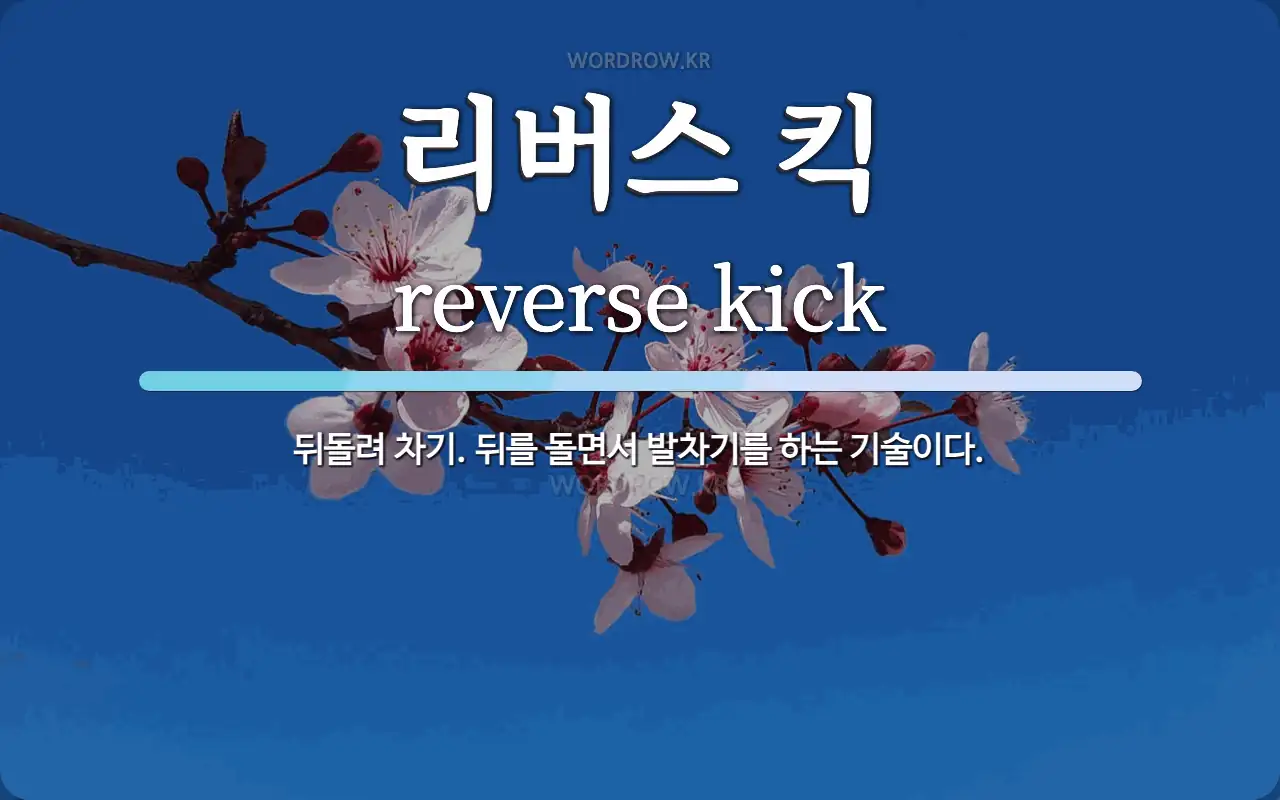 리버스 킥 뜻: 뒤돌려 차기. 뒤를 돌면서 발차기를 하는 기술이다.