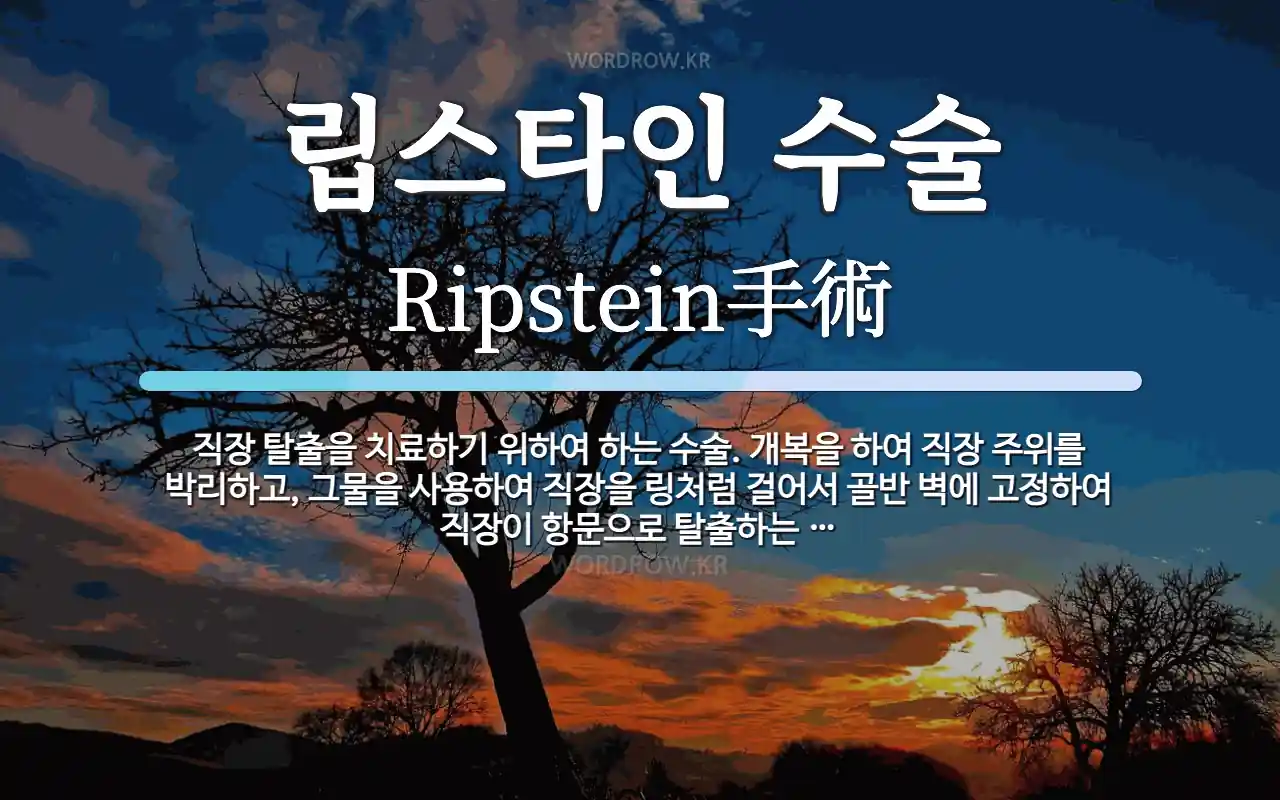 립스타인 수술 뜻: 직장 탈출을 치료하기 위하여 하는 수술. 개복을 하여 직장 주위를 박리하고, 그물을 사용하