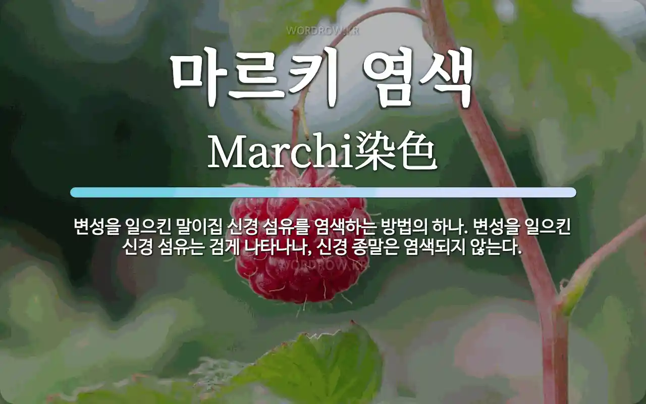 마르키 염색 뜻: 변성을 일으킨 말이집 신경 섬유를 염색하는 방법의 하나. 변성을 일으킨 신경 섬유는 검게