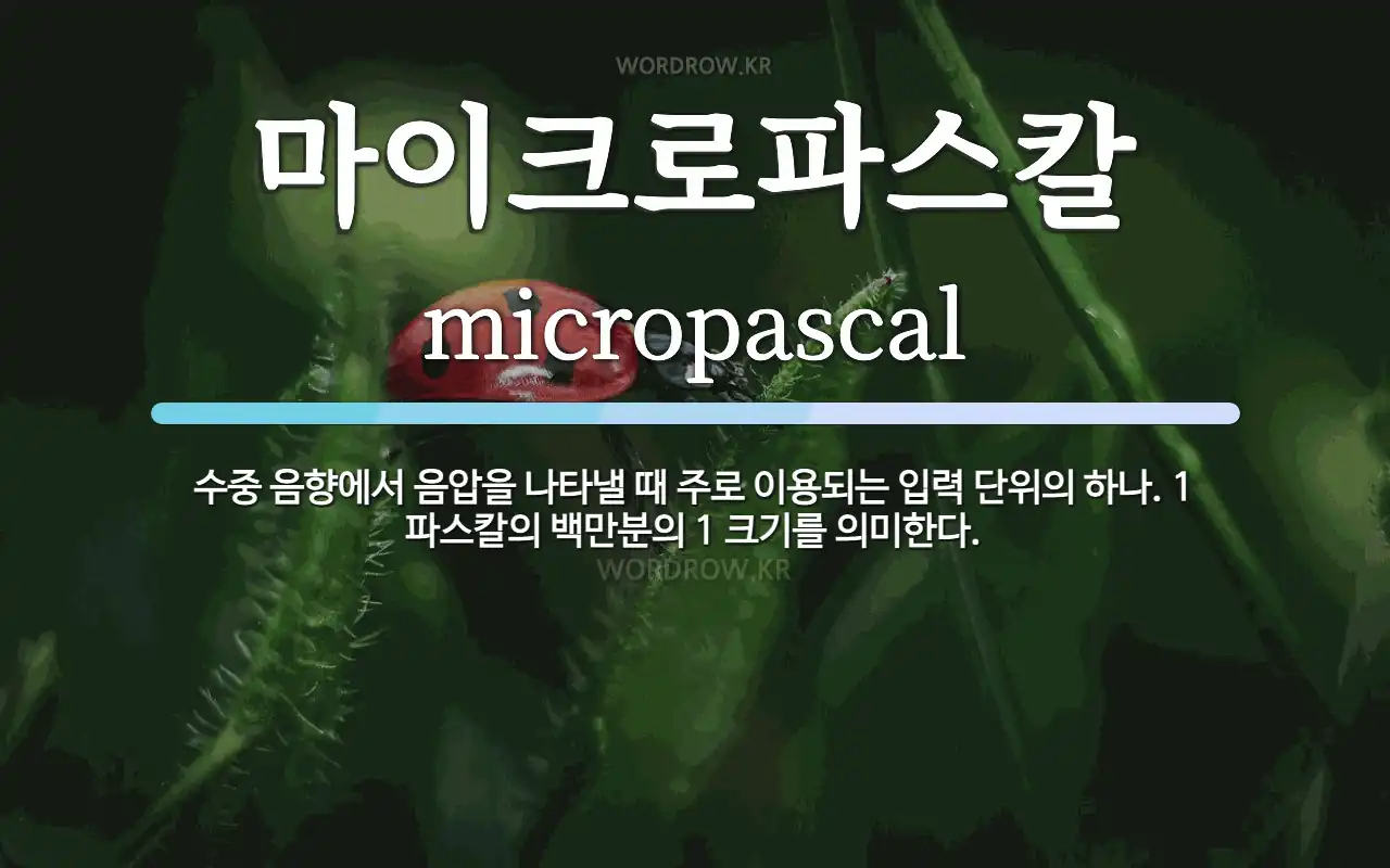 마이크로파스칼 뜻: 수중 음향에서 음압을 나타낼 때 주로 이용되는 입력 단위의 하나. 1 파스칼의 백만분의 1