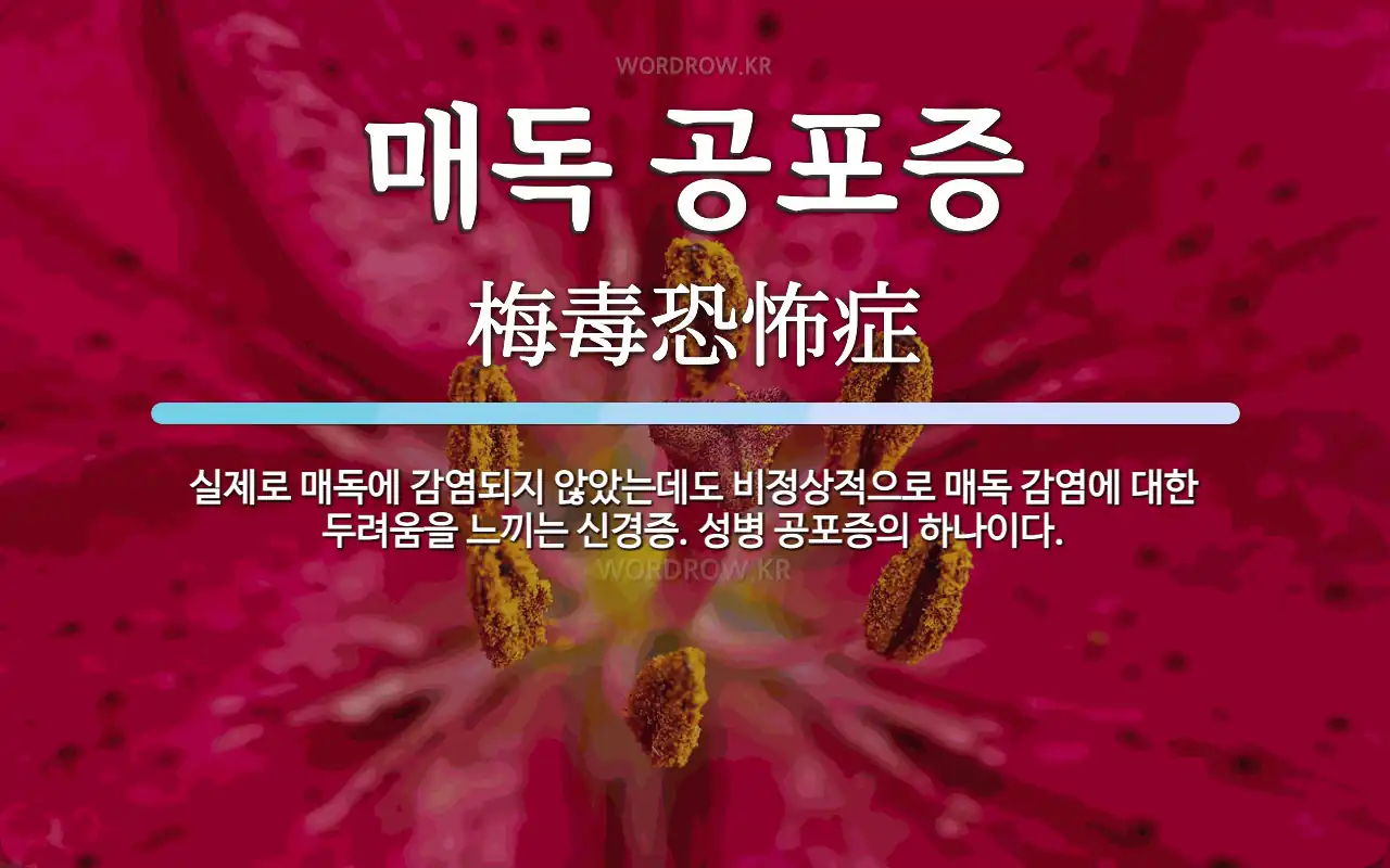 매독 공포증 뜻: 실제로 매독에 감염되지 않았는데도 비정상적으로 매독 감염에 대한 두려움을 느끼는 신경증.