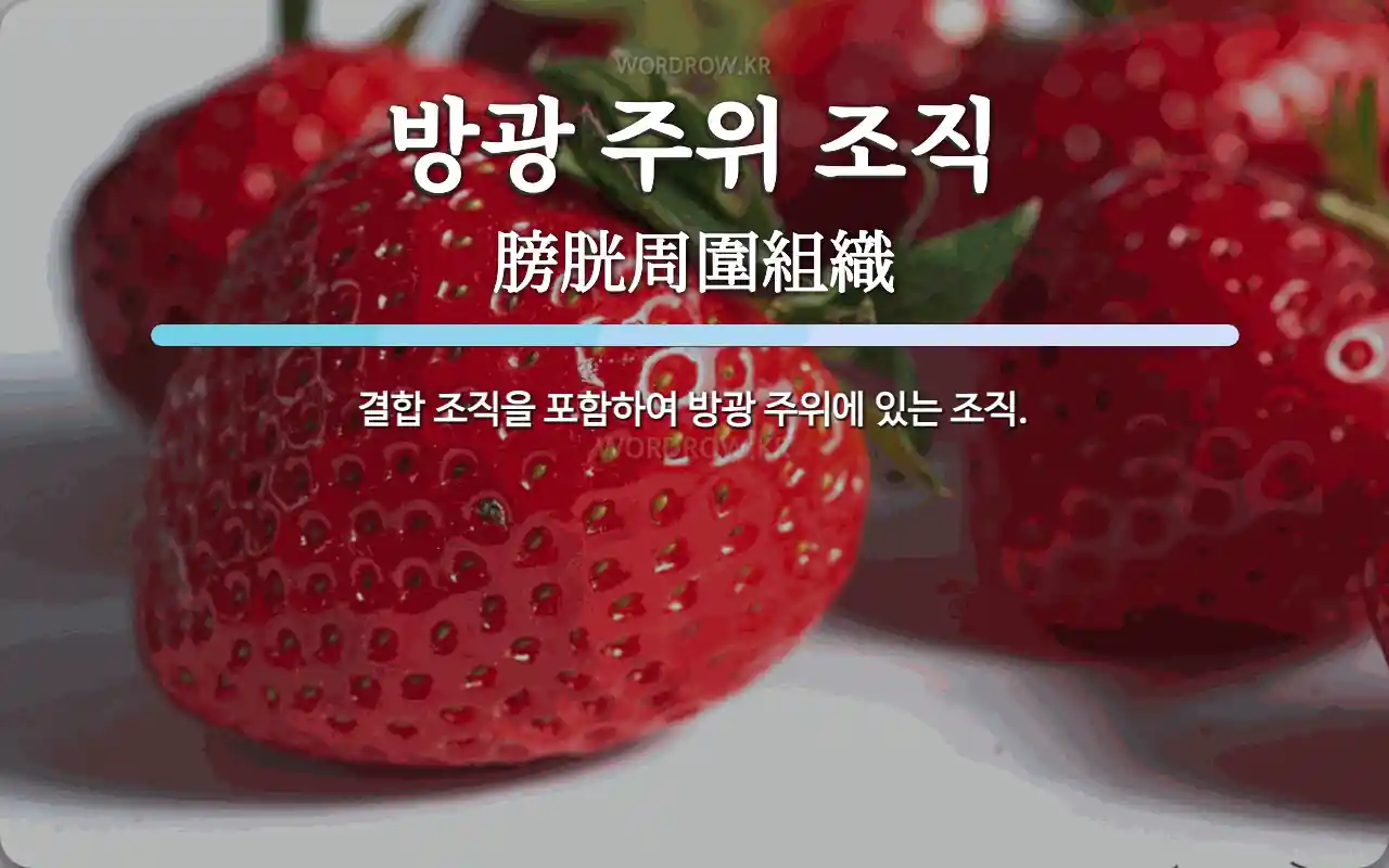 방광 주위 조직 뜻: 결합 조직을 포함하여 방광 주위에 있는 조직.