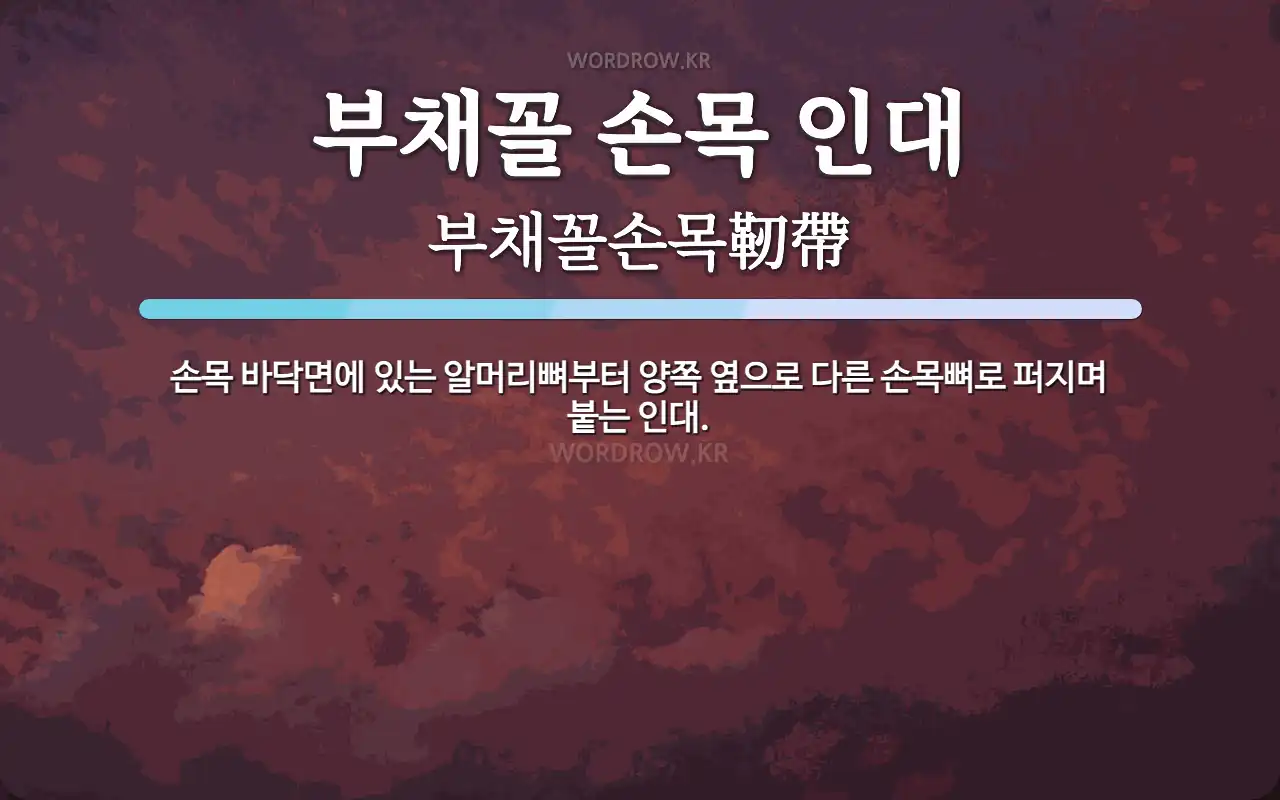 부채꼴 손목 인대 뜻: 손목 바닥면에 있는 알머리뼈부터 양쪽 옆으로 다른 손목뼈로 퍼지며 붙는 인대.
