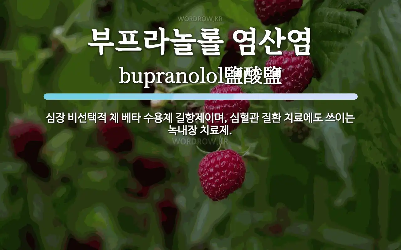 부프라놀롤 염산염 뜻: 심장 비선택적 체 베타 수용체 길항제이며, 심혈관 질환 치료에도 쓰이는 녹내장 치료제.