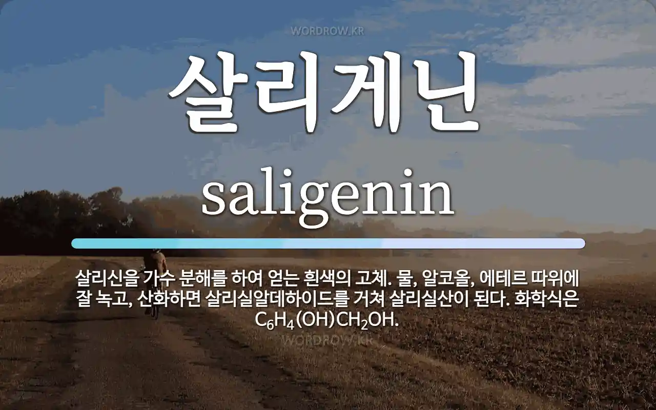 살리게닌 뜻: 살리신을 가수 분해를 하여 얻는 흰색의 고체. 물, 알코올, 에테르 따위에 잘 녹고, 산화