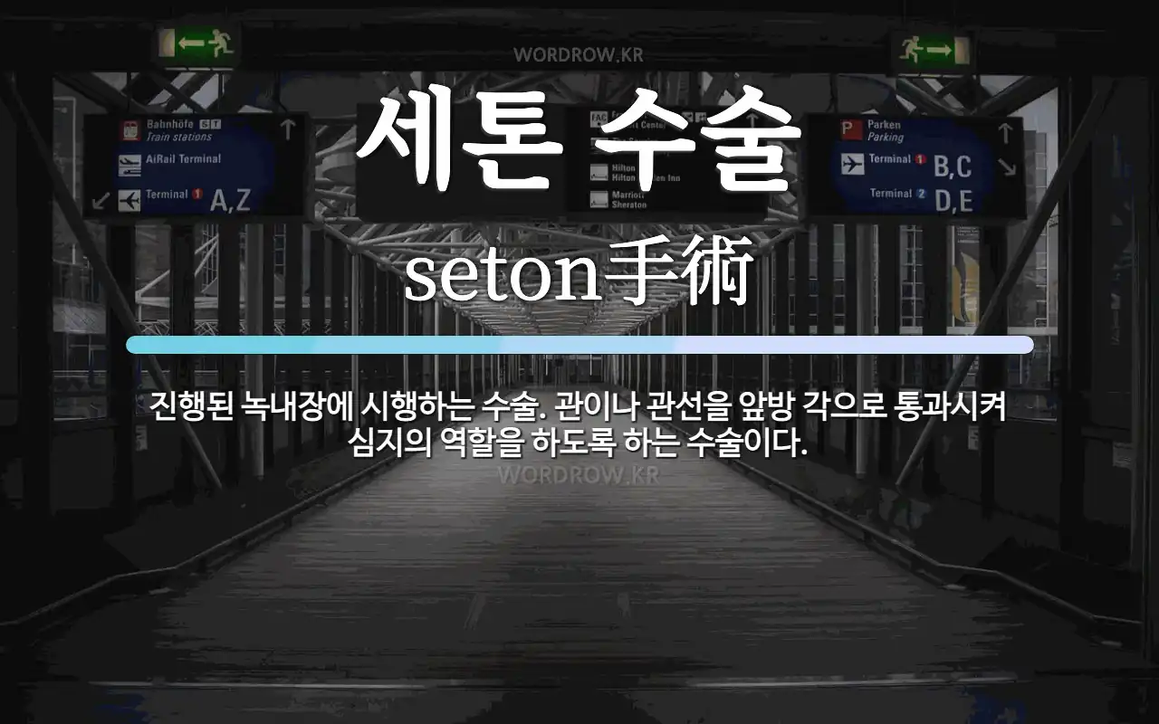 세톤 수술 뜻: 진행된 녹내장에 시행하는 수술. 관이나 관선을 앞방 각으로 통과시켜 심지의 역할을 하도록