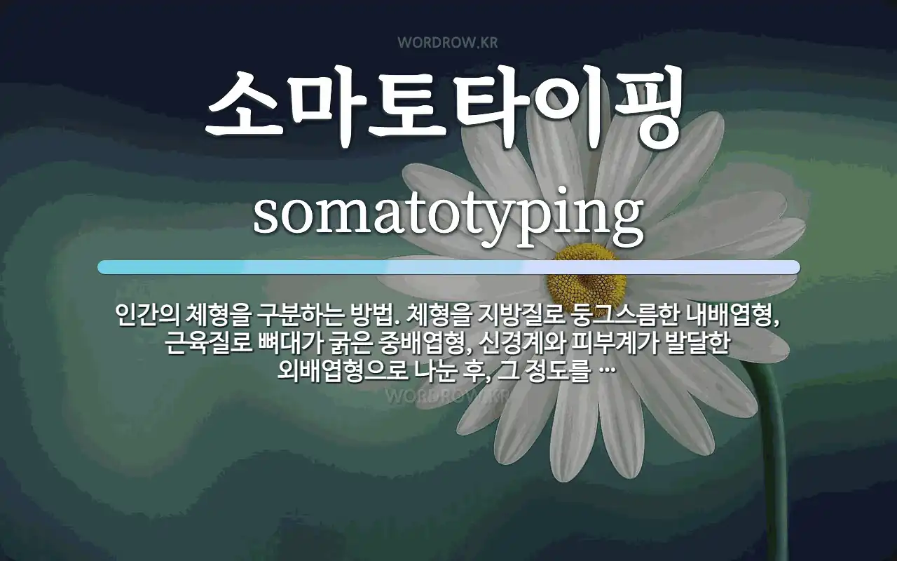 소마토타이핑 뜻: 인간의 체형을 구분하는 방법. 체형을 지방질로 둥그스름한 내배엽형, 근육질로 뼈대가 굵은