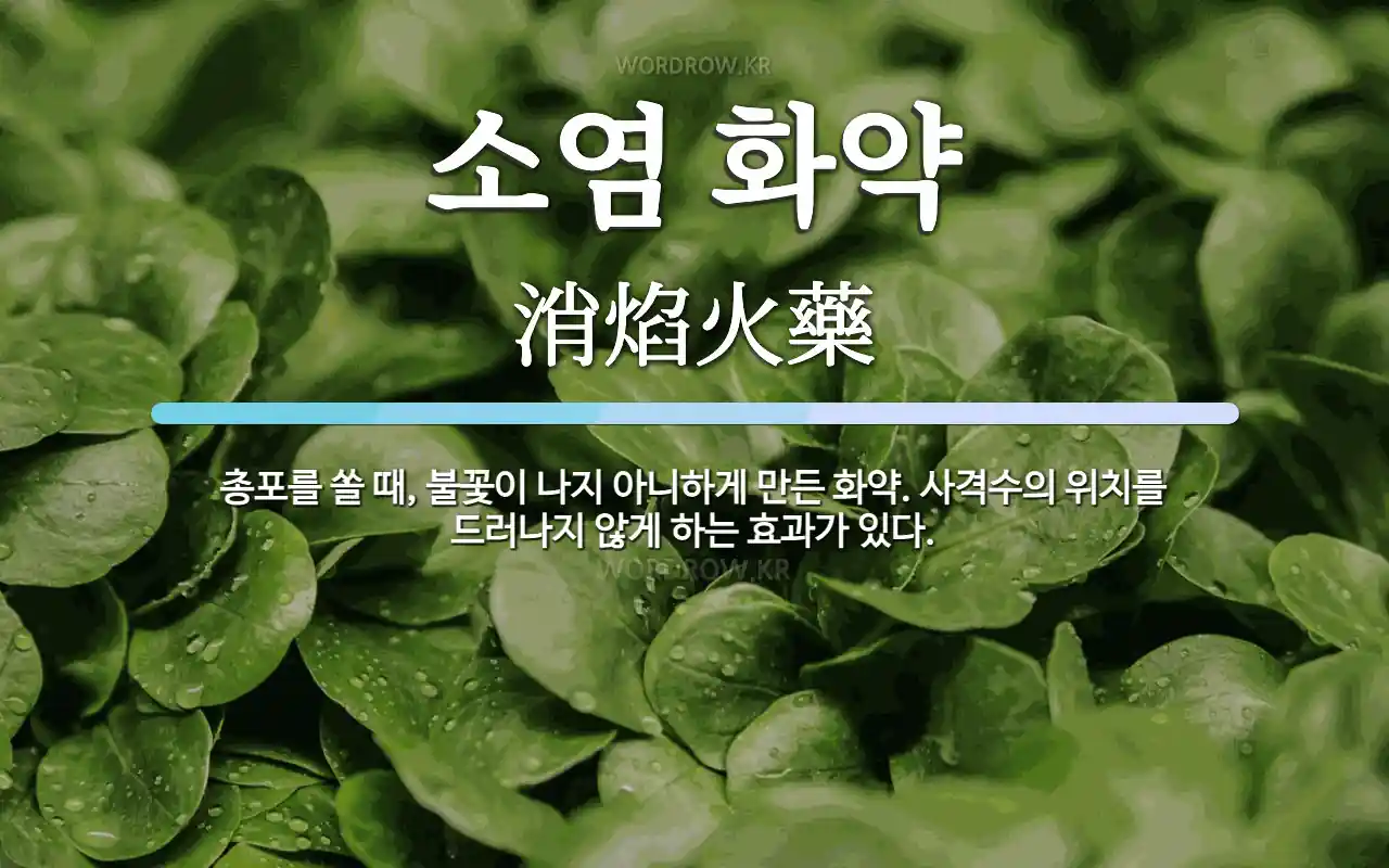 소염 화약 뜻: 총포를 쏠 때, 불꽃이 나지 아니하게 만든 화약. 사격수의 위치를 드러나지 않게 하는 효과