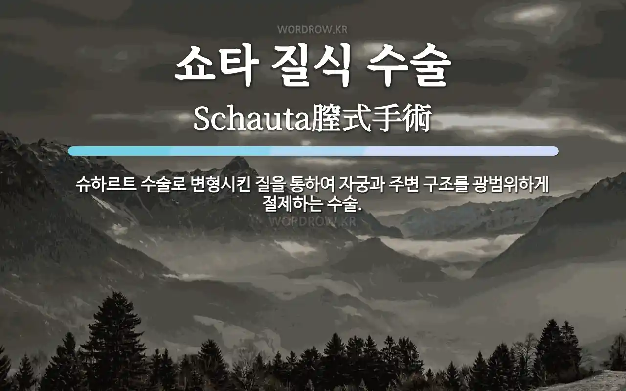 쇼타 질식 수술 뜻: 슈하르트 수술로 변형시킨 질을 통하여 자궁과 주변 구조를 광범위하게 절제하는 수술.