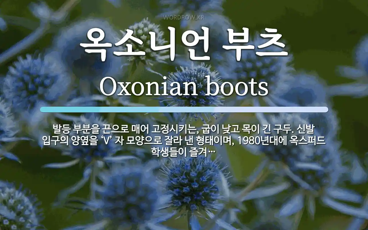 옥소니언 부츠 뜻: 발등 부분을 끈으로 매어 고정시키는, 굽이 낮고 목이 긴 구두. 신발 입구의 양옆을 ‘V’