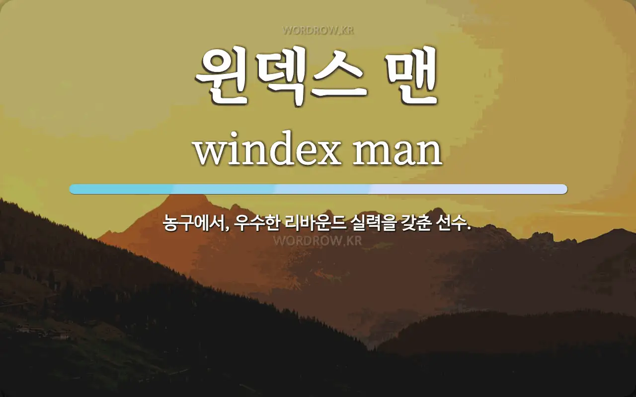윈덱스 맨 뜻: 농구에서, 우수한 리바운드 실력을 갖춘 선수.