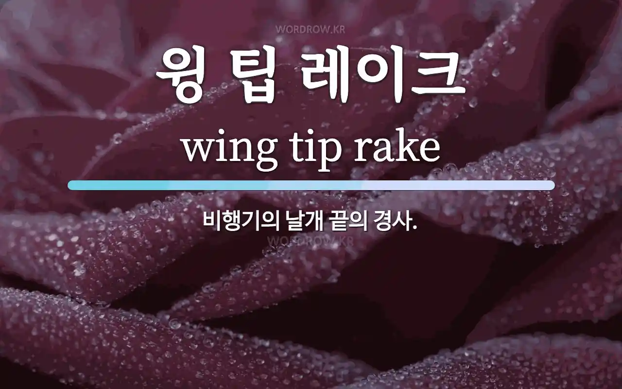 윙 팁 레이크 뜻: 비행기의 날개 끝의 경사.