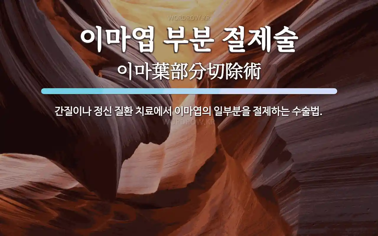 이마엽 부분 절제술 뜻: 간질이나 정신 질환 치료에서 이마엽의 일부분을 절제하는 수술법.