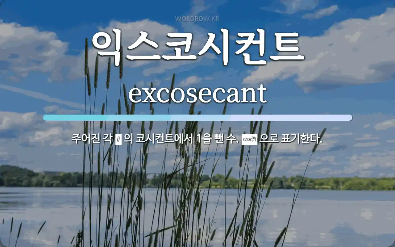 익스코시컨트 뜻: 주어진 각