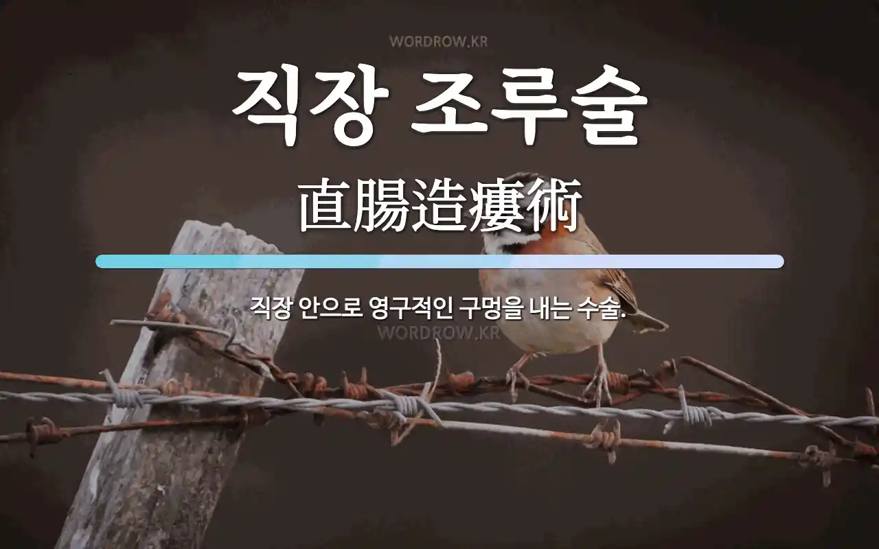 직장 조루술 뜻: 직장 안으로 영구적인 구멍을 내는 수술.