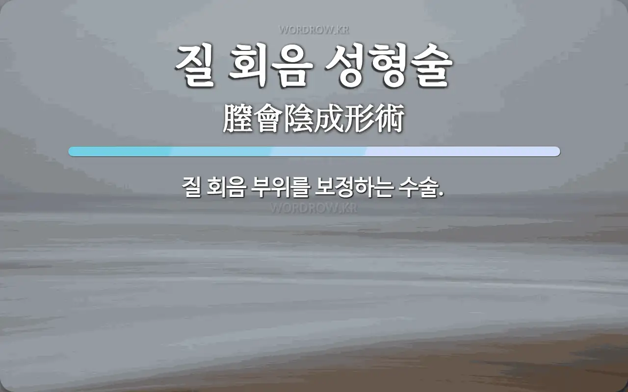 질 회음 성형술 뜻: 질 회음 부위를 보정하는 수술.