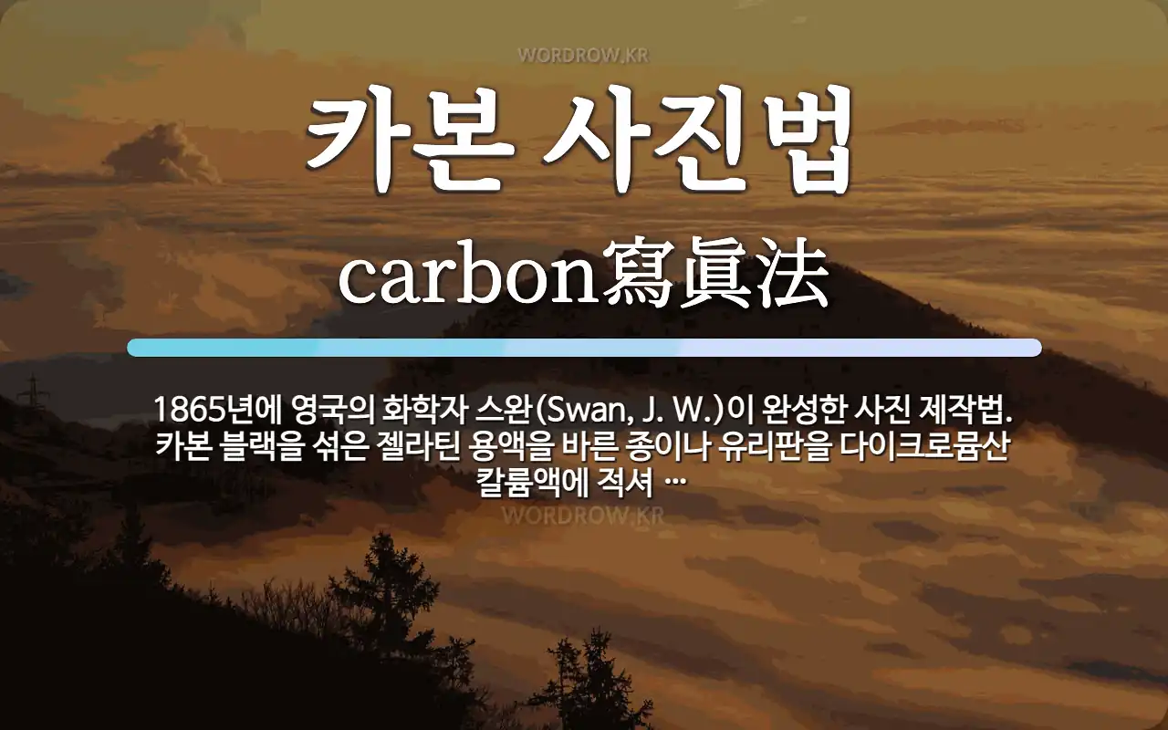 카본 사진법 뜻: 1865년에 영국의 화학자 스완(Swan, J. W.)이 완성한 사진 제작법. 카본 블랙을