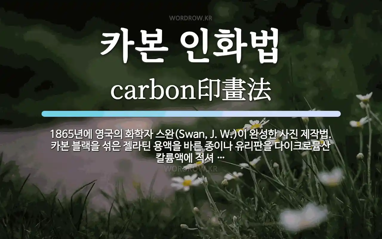 카본 인화법 뜻: 1865년에 영국의 화학자 스완(Swan, J. W.)이 완성한 사진 제작법. 카본 블랙을