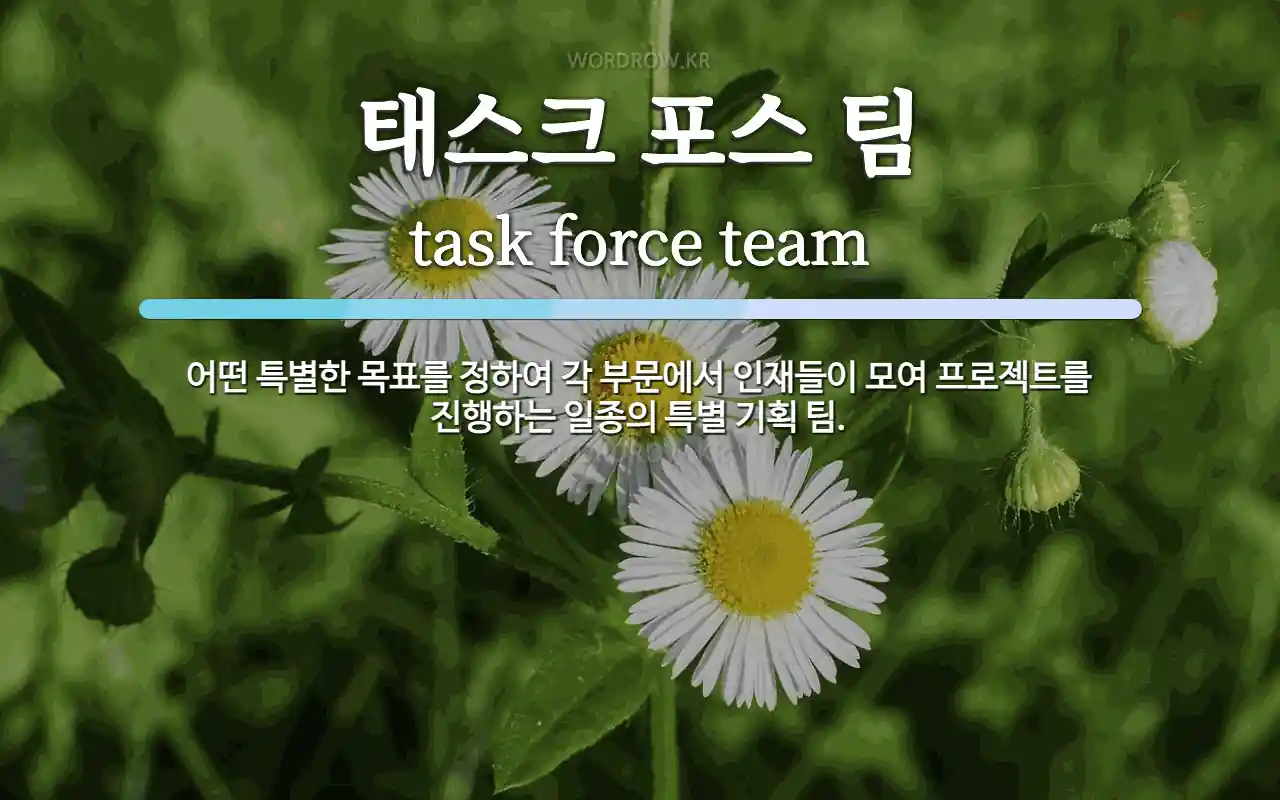 태스크 포스 팀 뜻: 어떤 특별한 목표를 정하여 각 부문에서 인재들이 모여 프로젝트를 진행하는 일종의 특별 기획