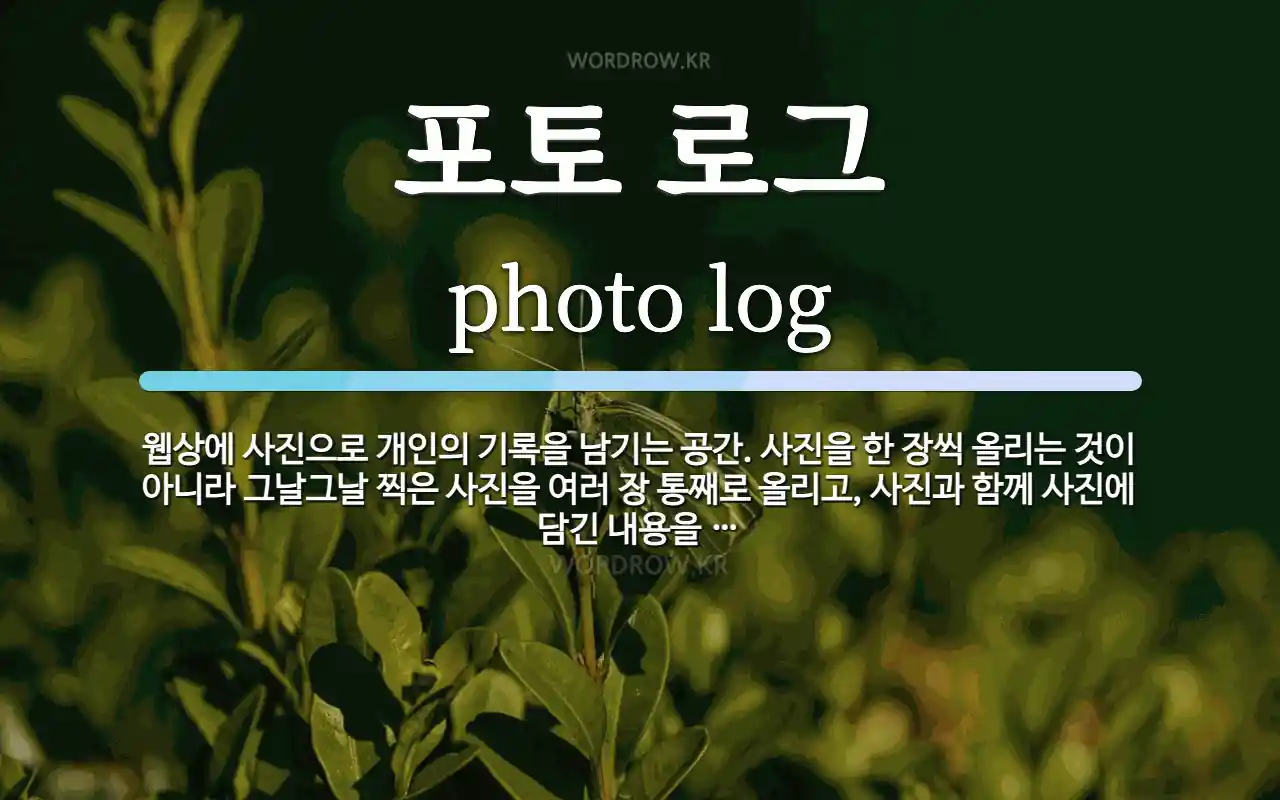 포토 로그 뜻: 웹상에 사진으로 개인의 기록을 남기는 공간. 사진을 한 장씩 올리는 것이 아니라 그날그날
