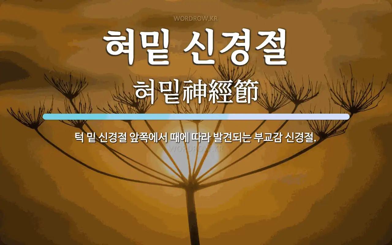 혀밑 신경절 뜻: 턱 밑 신경절 앞쪽에서 때에 따라 발견되는 부교감 신경절.