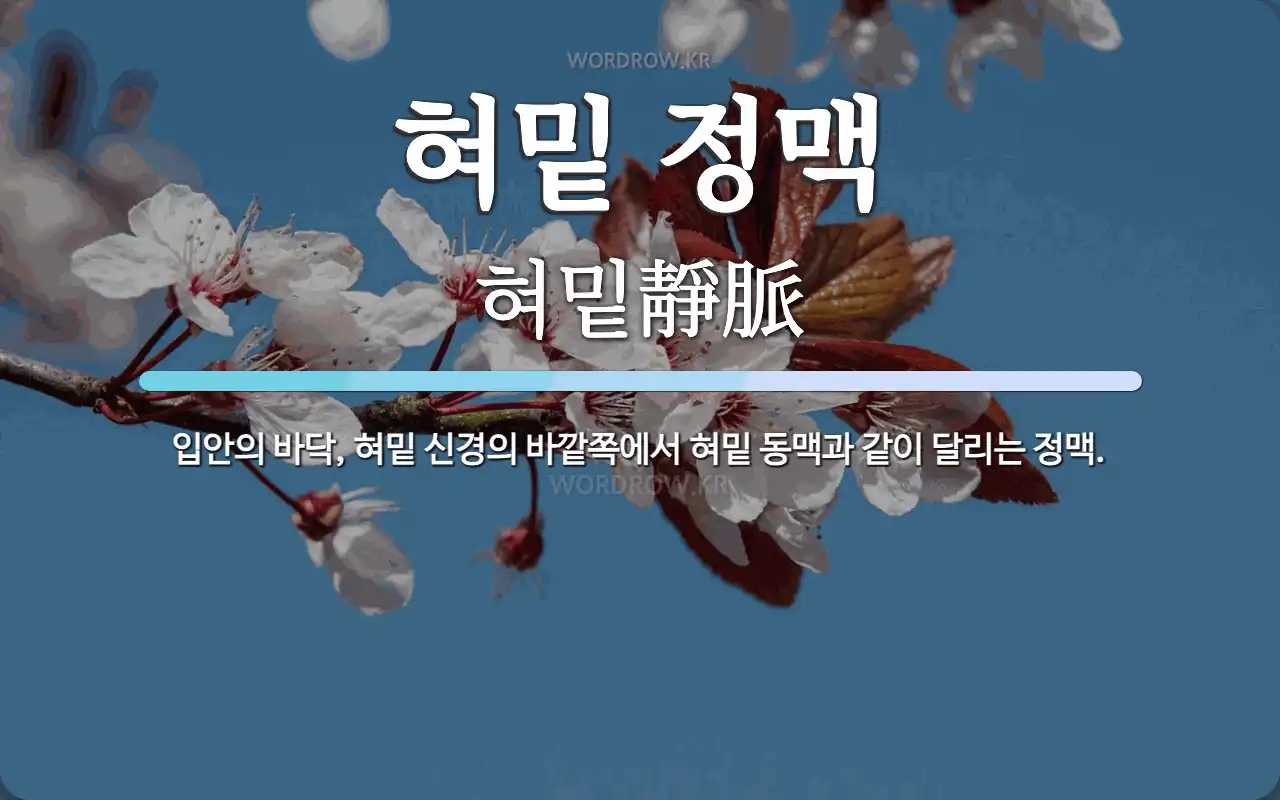 혀밑 정맥 뜻: 입안의 바닥, 혀밑 신경의 바깥쪽에서 혀밑 동맥과 같이 달리는 정맥.