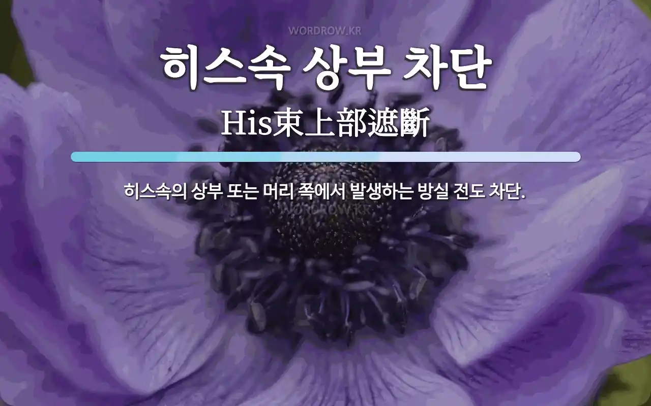 히스속 상부 차단 뜻: 히스속의 상부 또는 머리 쪽에서 발생하는 방실 전도 차단.