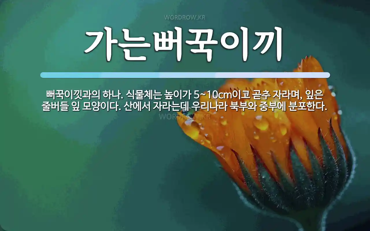 가는뻐꾹이끼 뜻 뻐꾹이낏과의 하나 식물체는 높이가 5~10cm이고 곧추 자라며 잎은 줄버들 잎 모양이다