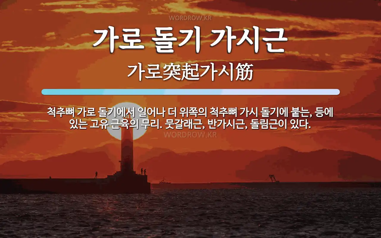 가로 돌기 가시근 뜻 척추뼈 가로 돌기에서 일어나 더 위쪽의 척추뼈 가시 돌기에 붙는 등에 있는 고유 근육의