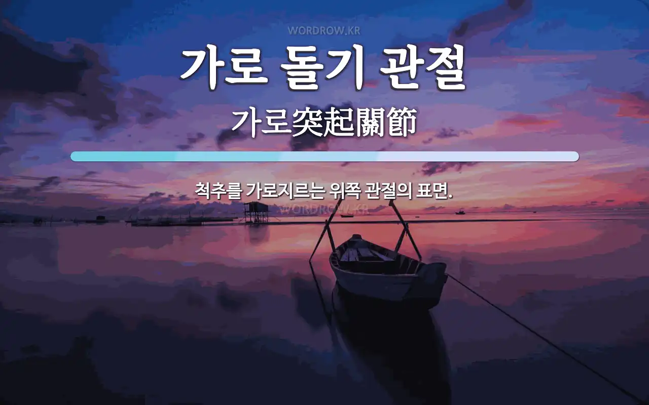 가로 돌기 관절 뜻 척추를 가로지르는 위쪽 관절의 표면
