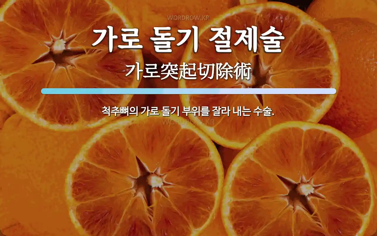 가로 돌기 절제술 뜻 척추뼈의 가로 돌기 부위를 잘라 내는 수술