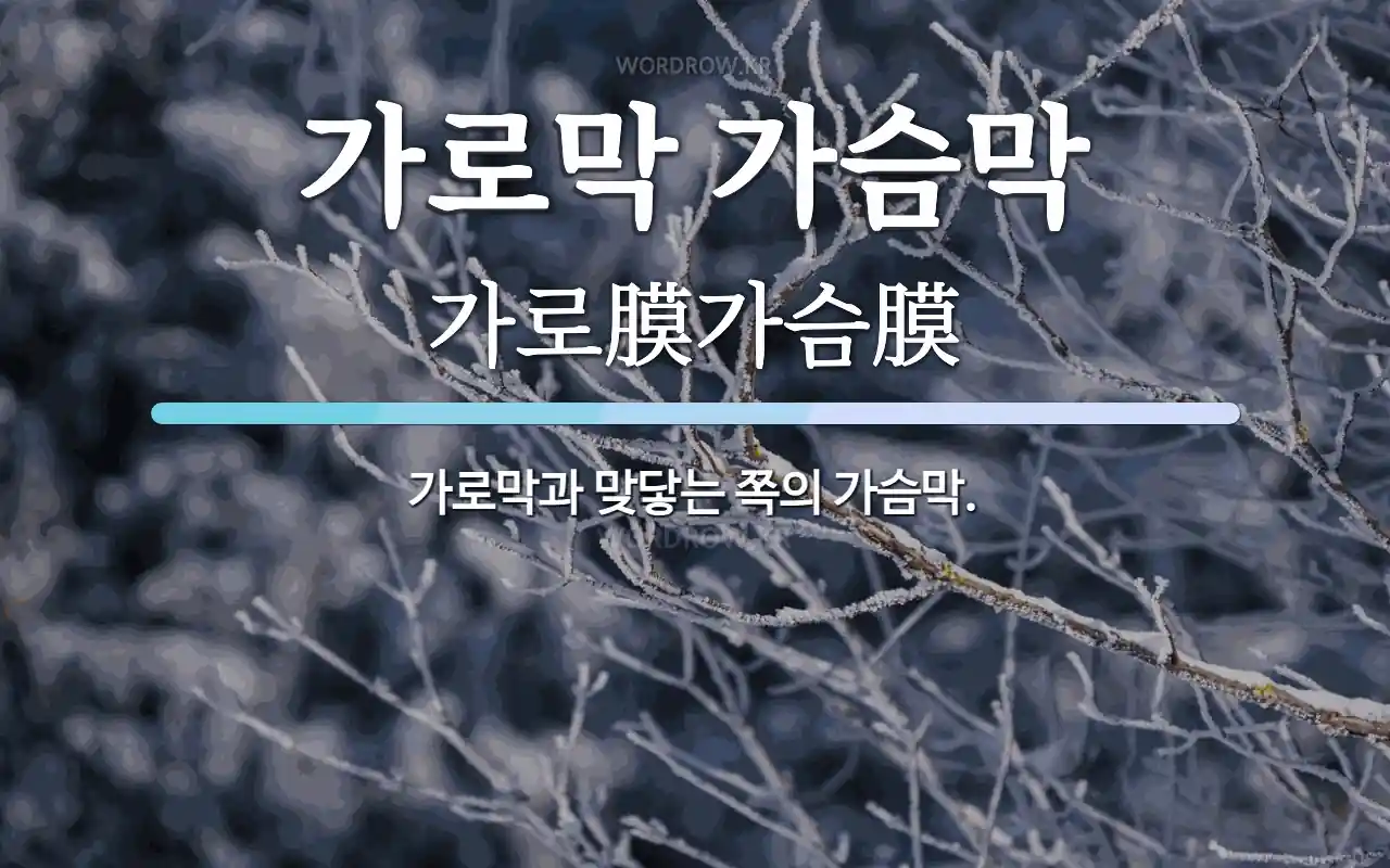 가로막 가슴막 뜻 가로막과 맞닿는 쪽의 가슴막