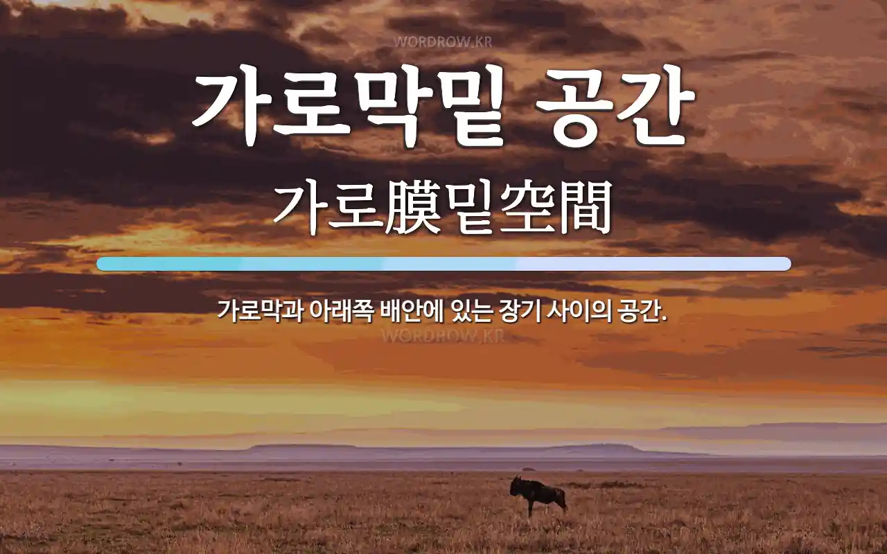 가로막밑 공간 뜻 가로막과 아래쪽 배안에 있는 장기 사이의 공간