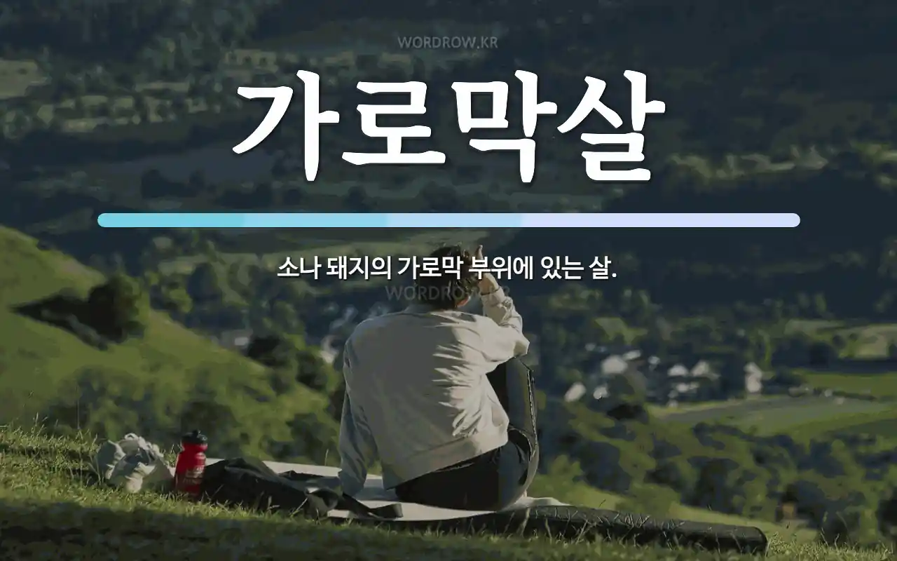가로막살 뜻 소나 돼지의 가로막 부위에 있는 살