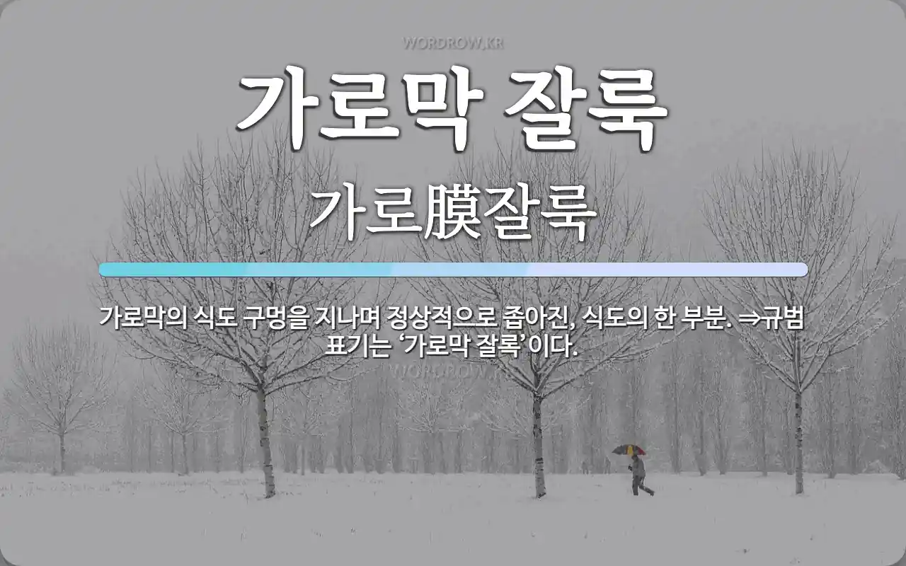 가로막 잘룩 뜻 가로막의 식도 구멍을 지나며 정상적으로 좁아진 식도의 한 부분 ⇒규범 표기는 ‘가로막