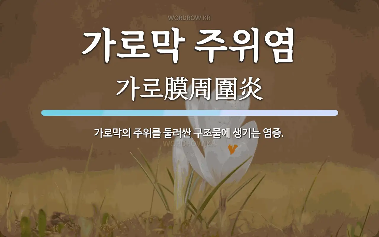 가로막 주위염 뜻 가로막의 주위를 둘러싼 구조물에 생기는 염증