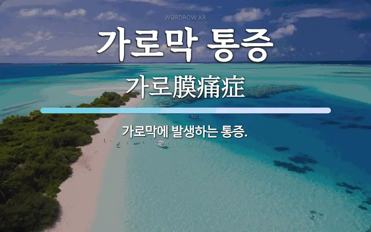 가로막 통증 뜻 가로막에 발생하는 통증