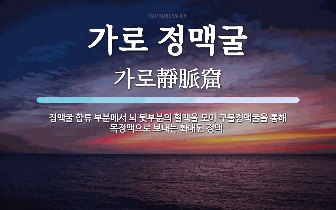 가로 정맥굴 뜻 정맥굴 합류 부분에서 뇌 뒷부분의 혈액을 모아 구불정맥굴을 통해 목정맥으로 보내는 확대된