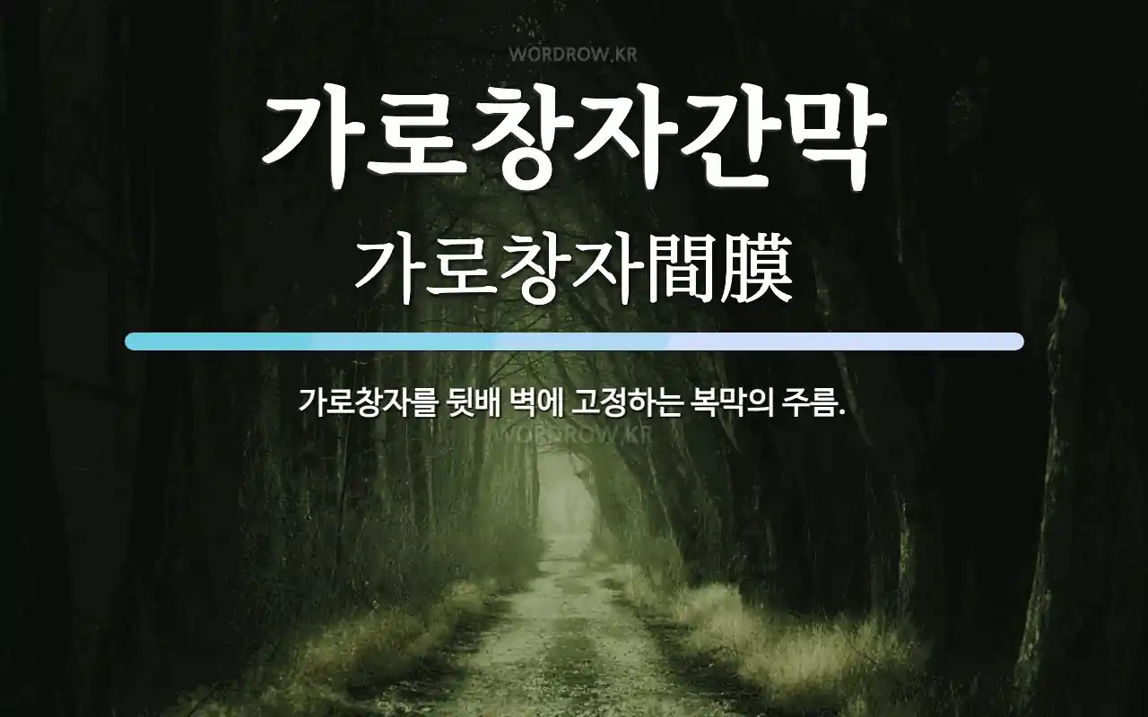 가로창자간막 뜻 가로창자를 뒷배 벽에 고정하는 복막의 주름