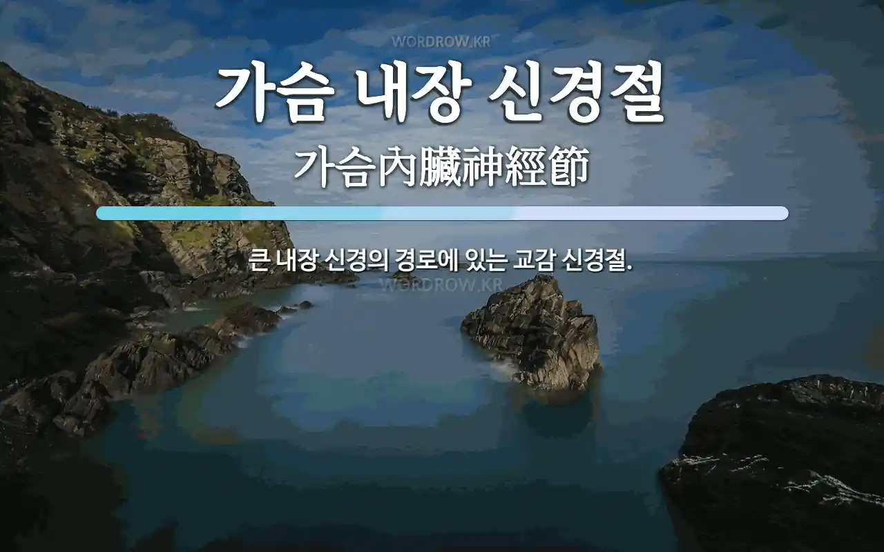 가슴 내장 신경절 뜻 큰 내장 신경의 경로에 있는 교감 신경절