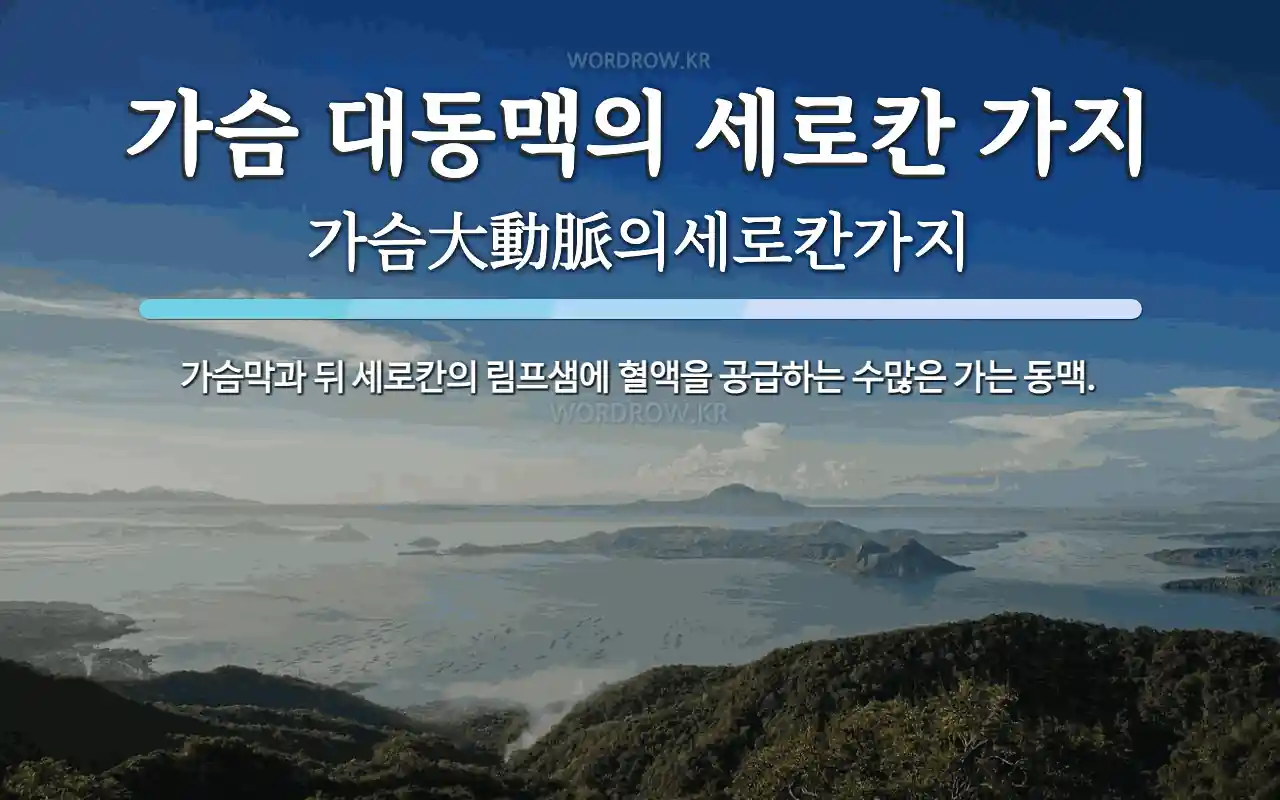 가슴 대동맥의 세로칸 가지 뜻 가슴막과 뒤 세로칸의 림프샘에 혈액을 공급하는 수많은 가는 동맥