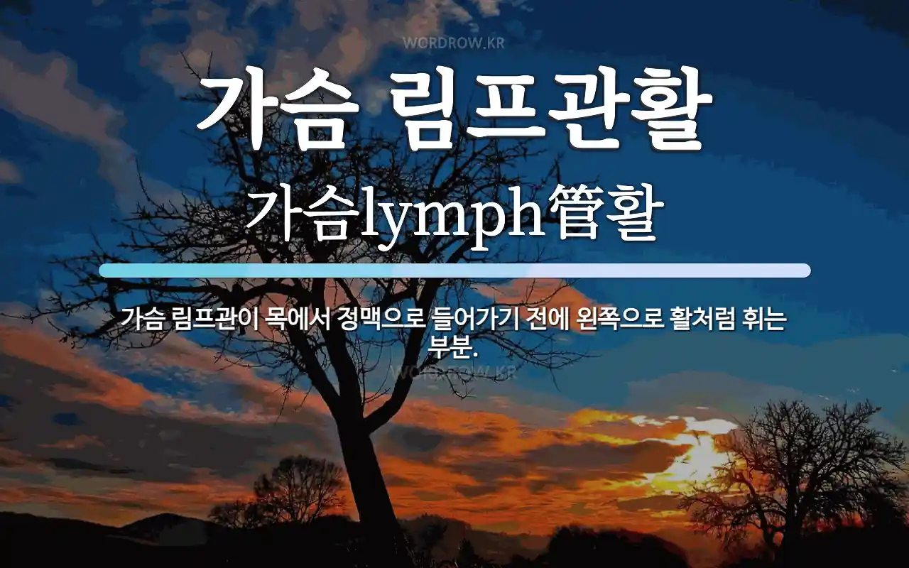 가슴 림프관활 뜻 가슴 림프관이 목에서 정맥으로 들어가기 전에 왼쪽으로 활처럼 휘는 부분