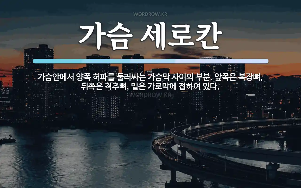 가슴 세로칸 뜻 가슴안에서 양쪽 허파를 둘러싸는 가슴막 사이의 부분 앞쪽은 복장뼈 뒤쪽은 척추뼈 밑은