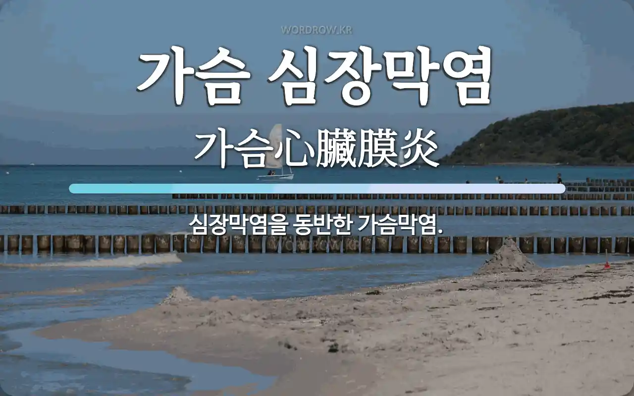 가슴 심장막염 뜻 심장막염을 동반한 가슴막염